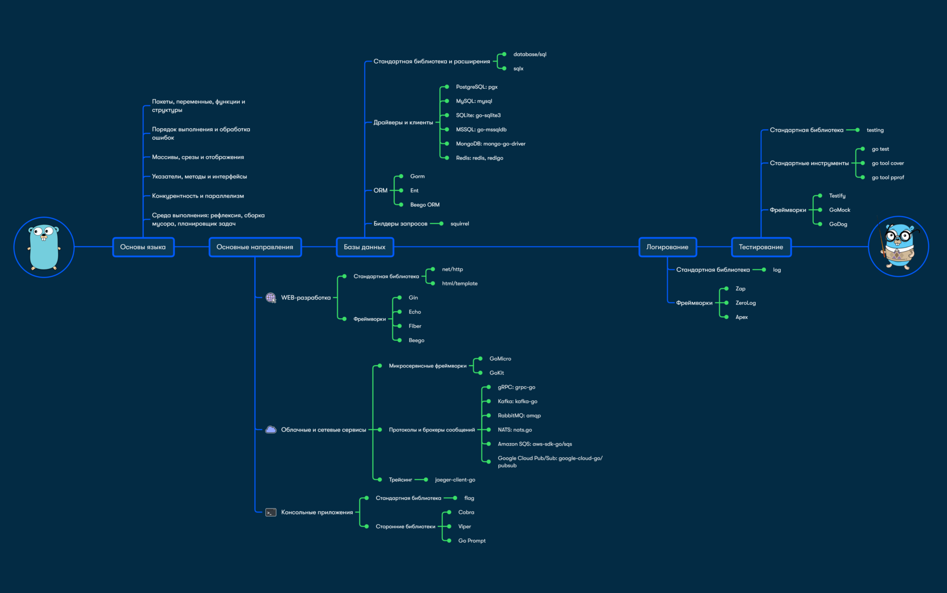 Изучение языка Go: дорожная карта