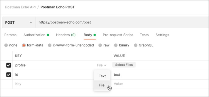 Postman API: запросы, тестирование и всё по этой теме